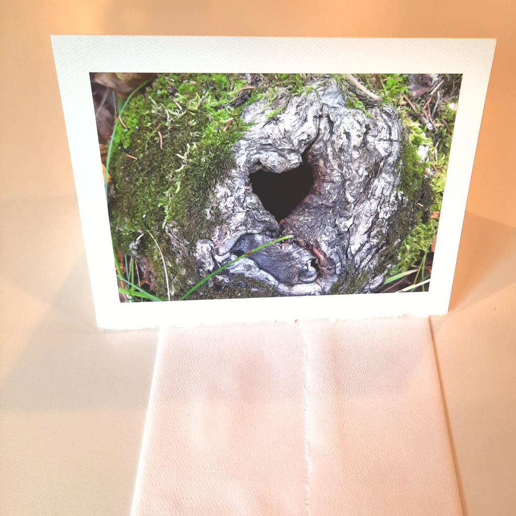 Tree Heart Photo Greeting Card – AdventureUs